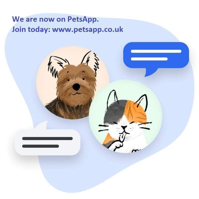 Petsapp store